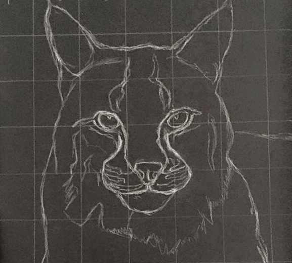 Charcoal Drawing Using The Grid Method