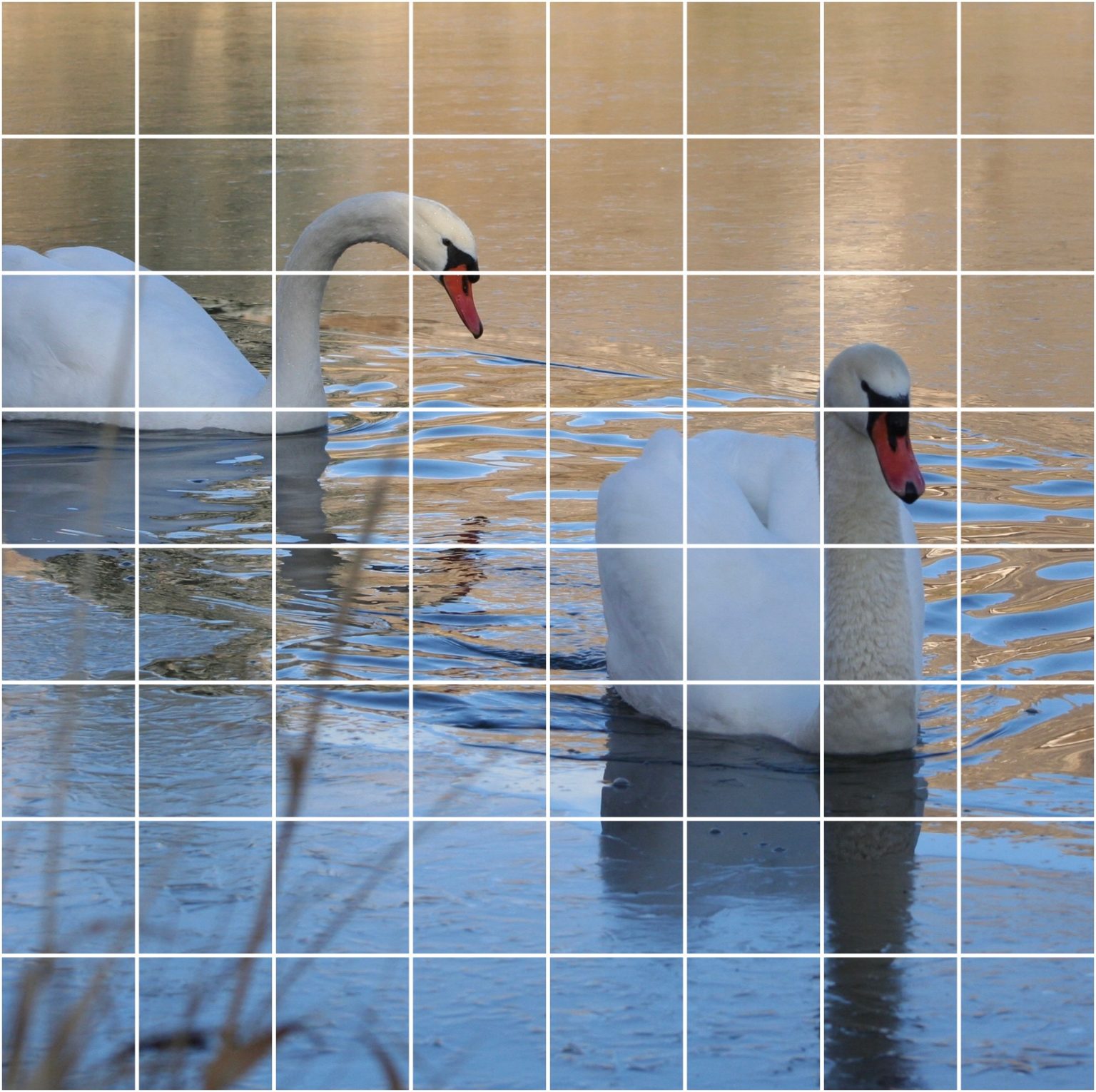 Back to Basics Using the Grid Method for Better Painting